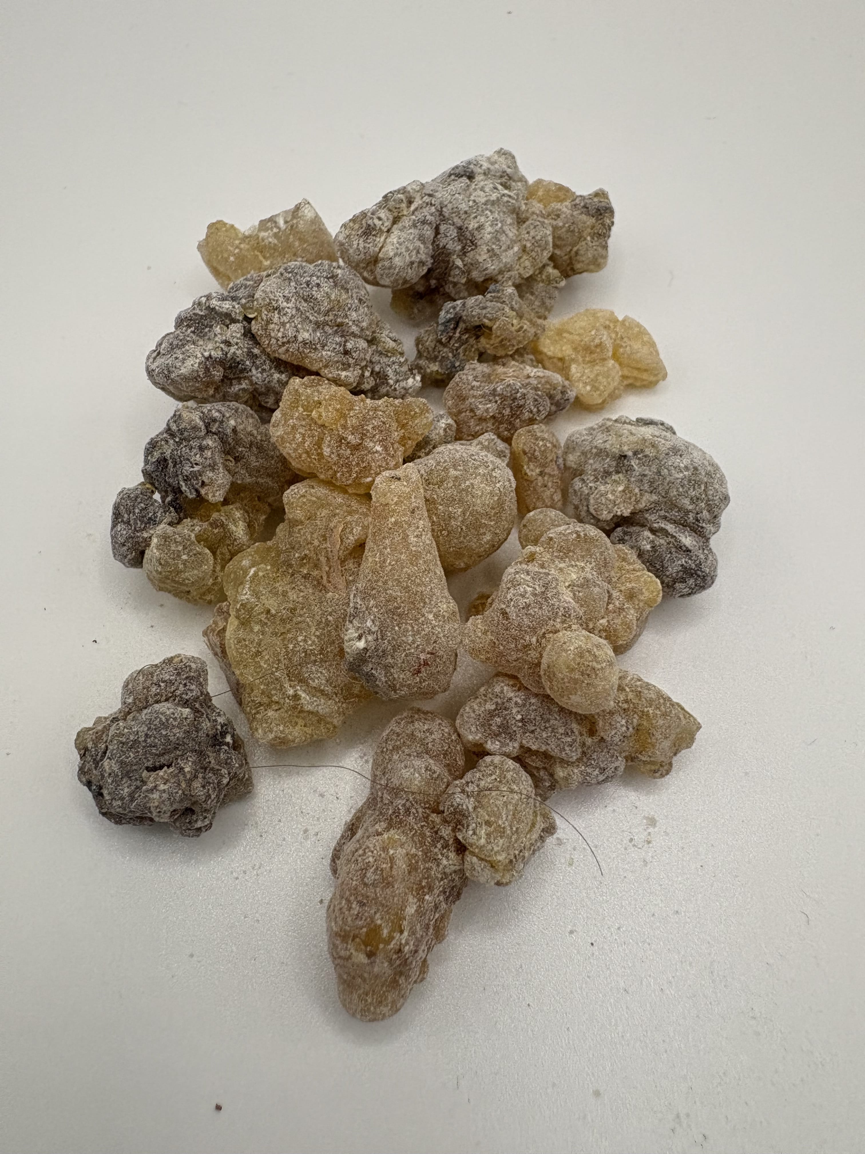 Frankincense Resin India | Boswellia serrata | Ayurvedic Incense ...